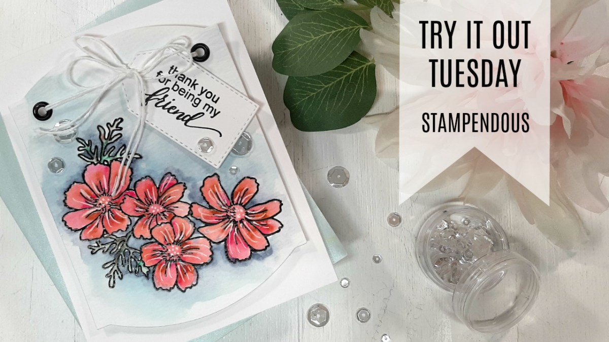 Try It Out Tuesday – Stampendous! | Cards and Coffee Time