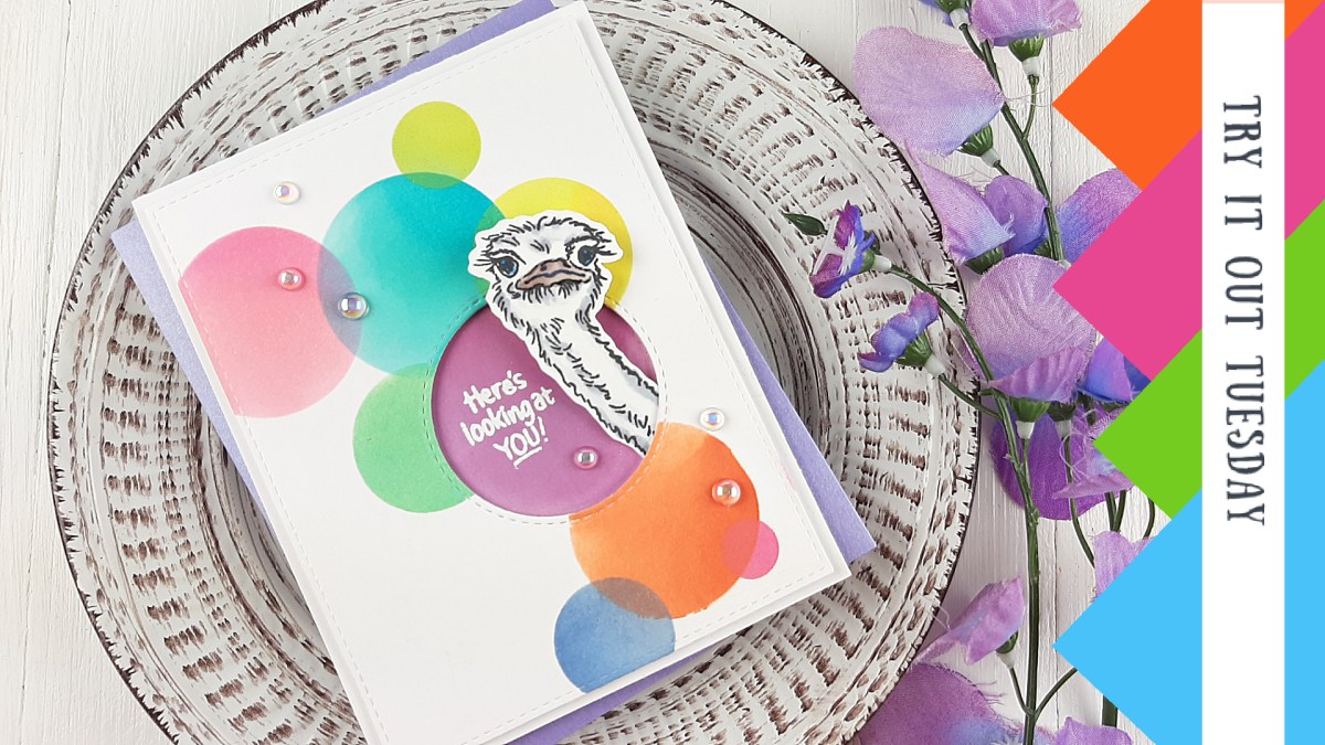 Try It Out Tuesday | Peeking Pals | Cards and Coffee Time