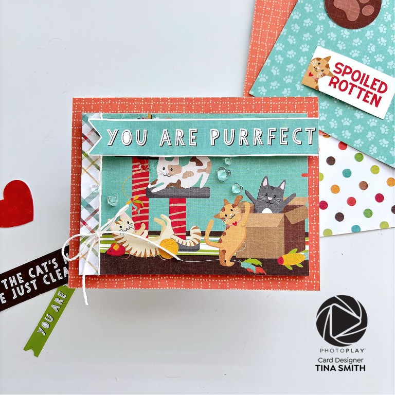 Photoplay Paper – Cat Nip | Cards and Coffee Time