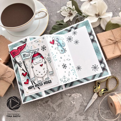 Photoplay Maker’s Series Double Z Card Inspiration and Tutorial | Cards ...