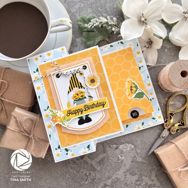 Photoplay Maker’s Series Double Z Card Inspiration and Tutorial | Cards ...
